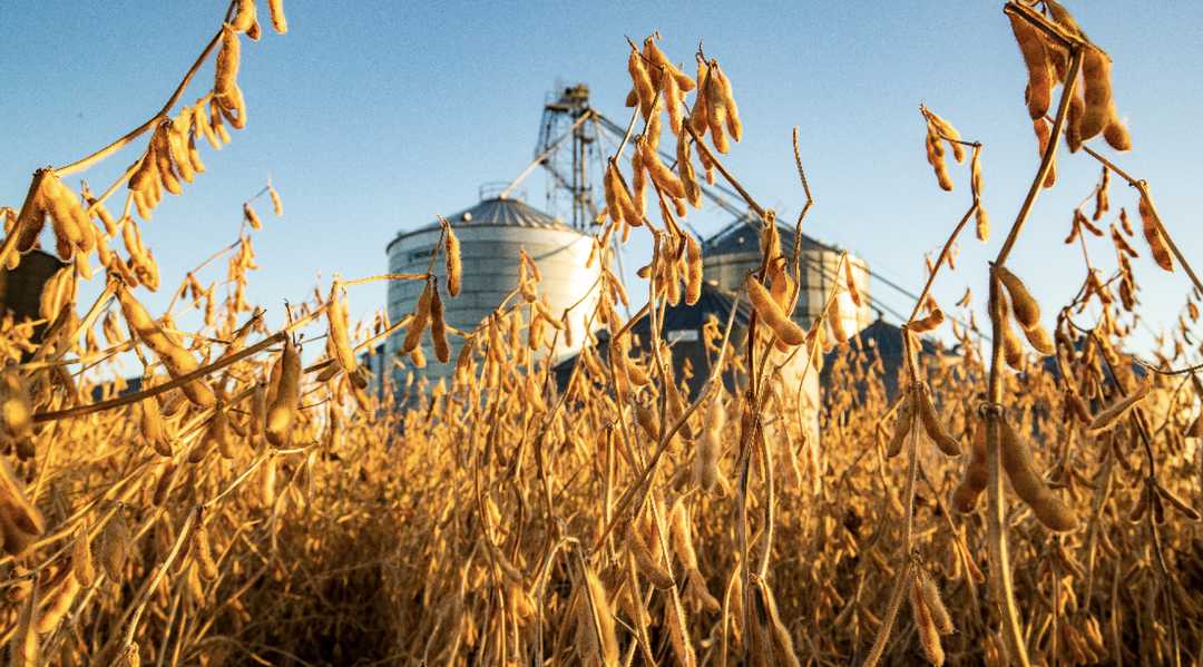 VFT | Cooperative Minds