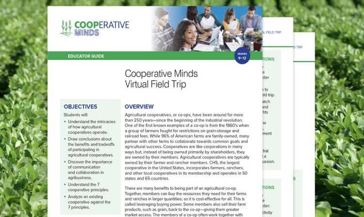 VFT | Cooperative Minds